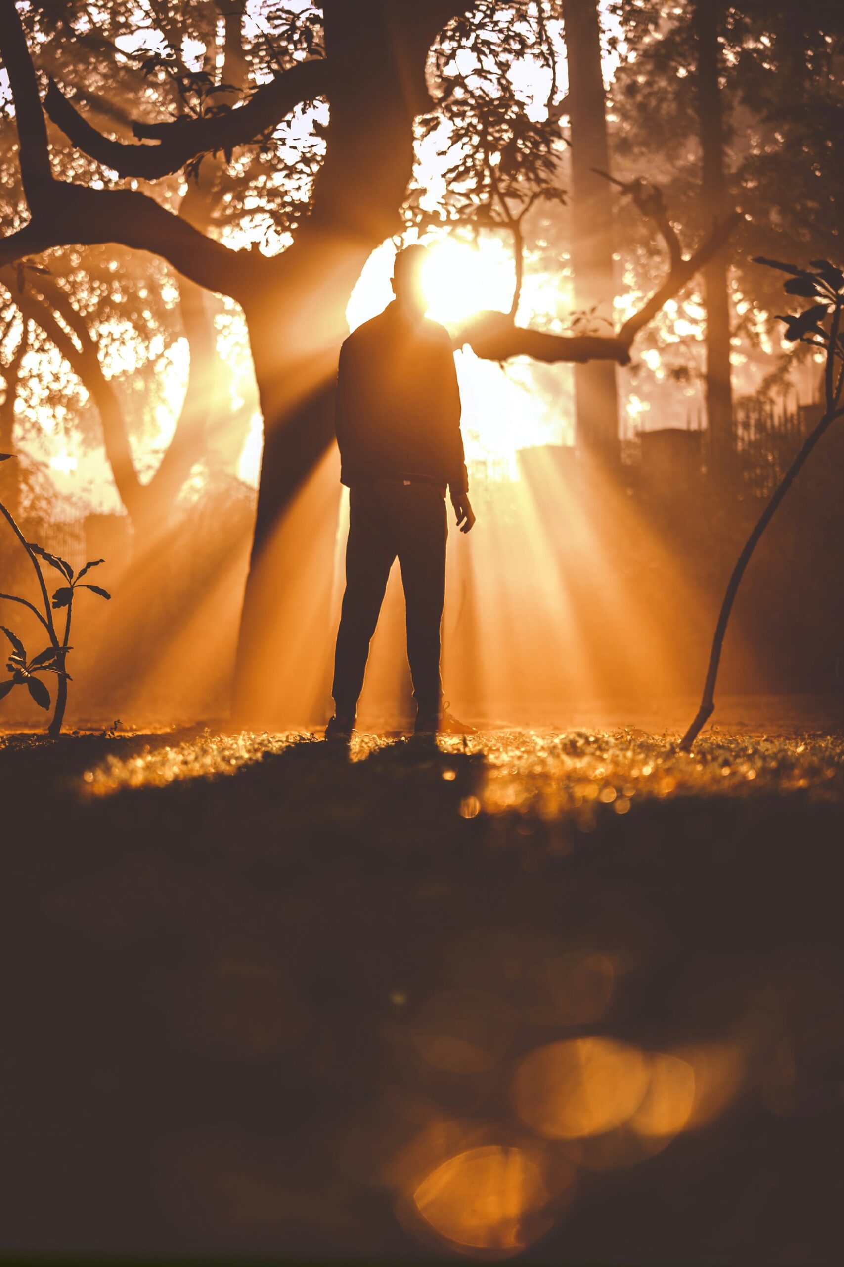 What is Transference? - Melbourne Centre of Psychotherapy